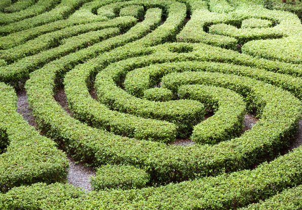 THE MILLENNIAL MAZE | Postmillennial Worldview