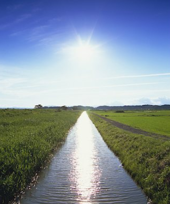 PRETERIST IMPULSES | Postmillennial Worldview